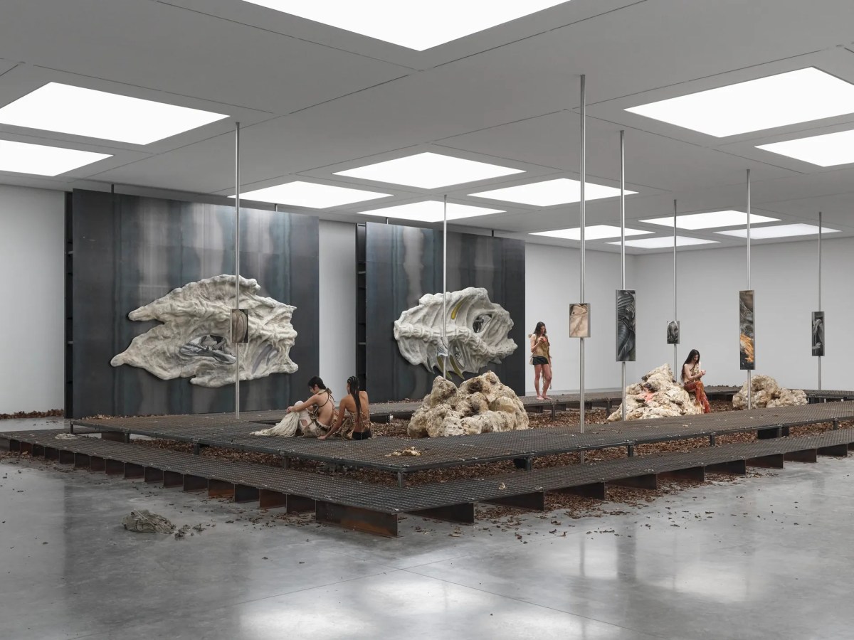 Echo review: artist Klára Hosnedlová uses living fungi to explore time ...